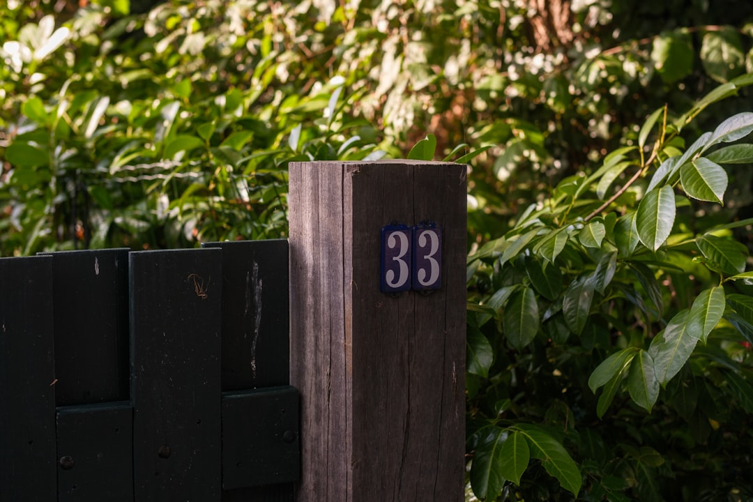 Wat is het grootste getal ter wereld? Ontdek hier!